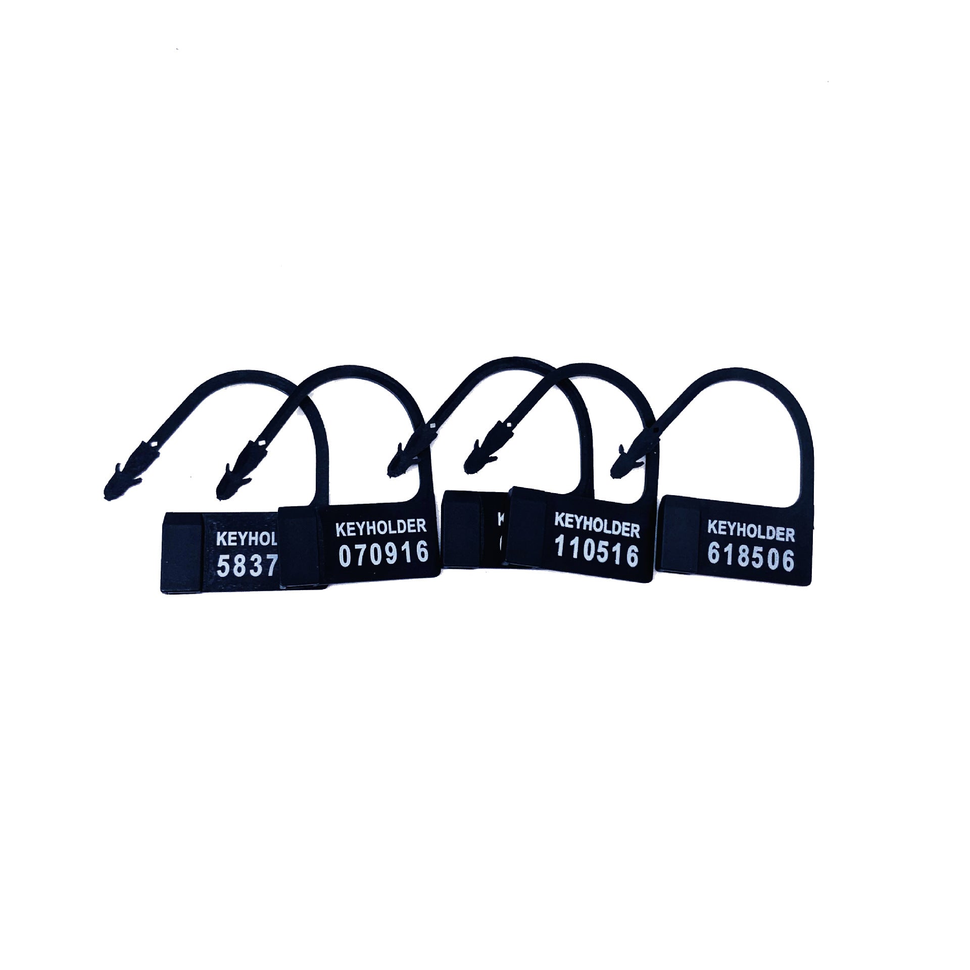 Disposable Plastic Coded Locks – cagink