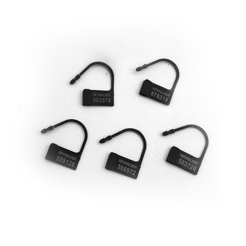 Disposable Plastic Coded Locks – cagink